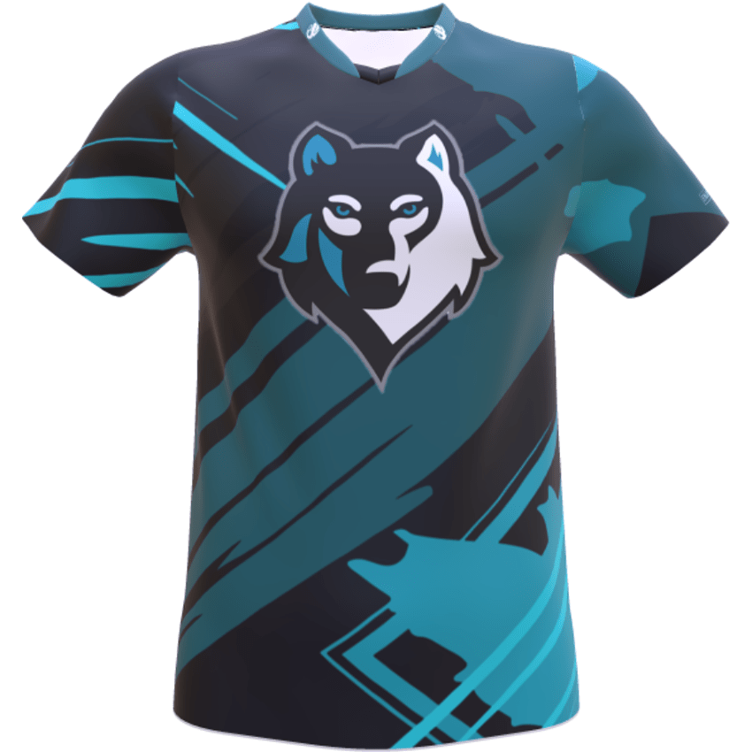 Custom Esports Gaming Jersey & Clothing-Prolevel Gaming Wear