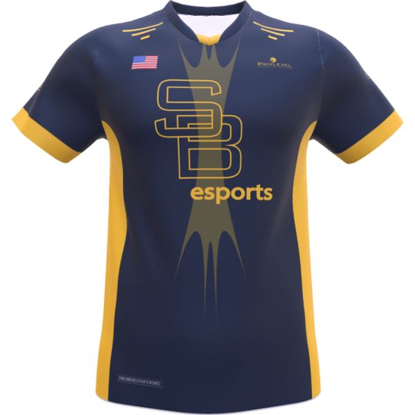Custom Gaming Jerseys - Design Your Team's Esports Jersey - Prolevel ...