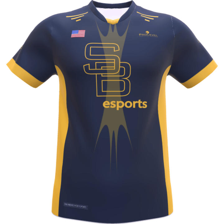 Custom Esports Gaming Jersey & Clothing-Prolevel Gaming Wear – Prolevel ...